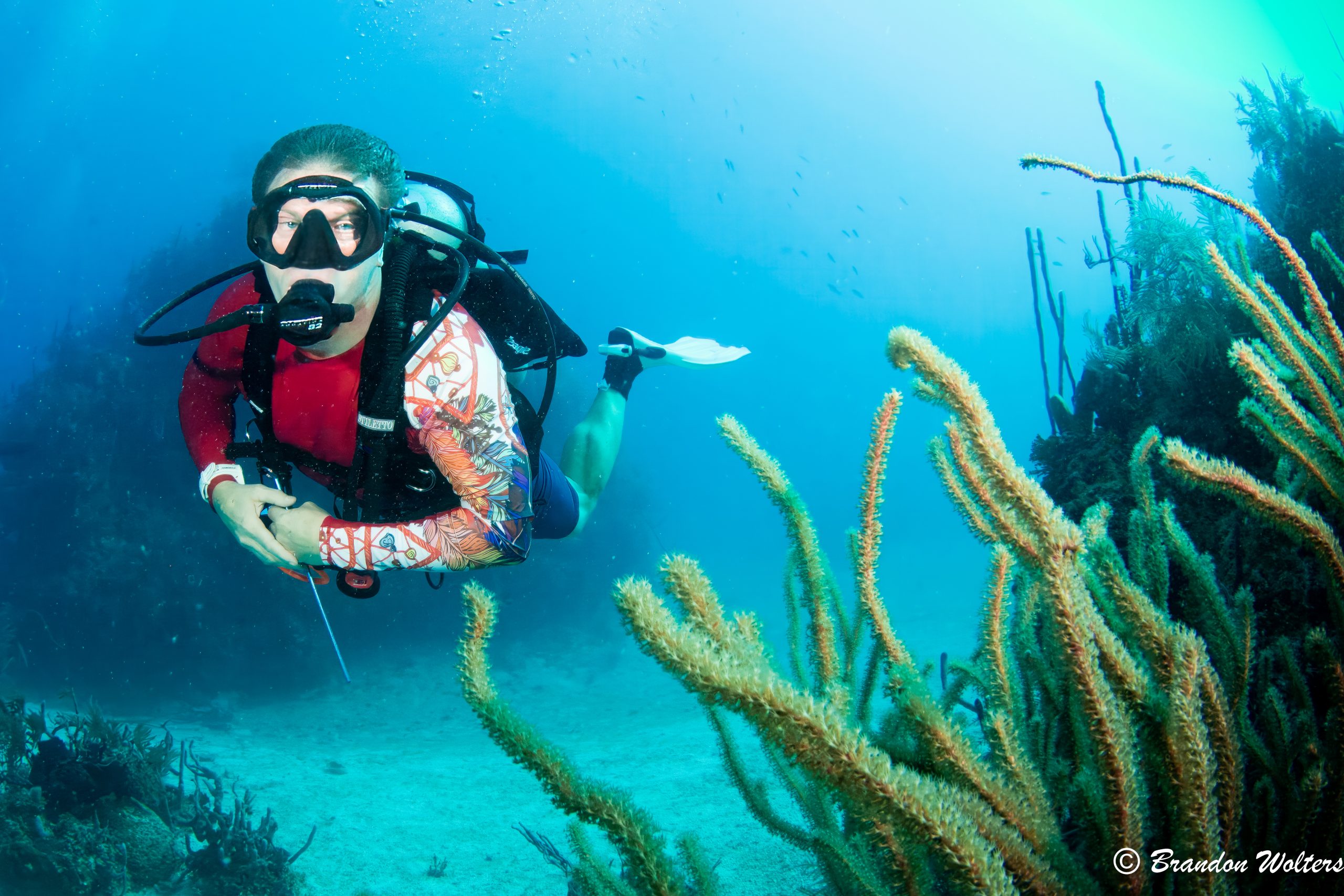 Mastering Neutral Buoyancy from Day One: Why It’s Core to Our Training ...